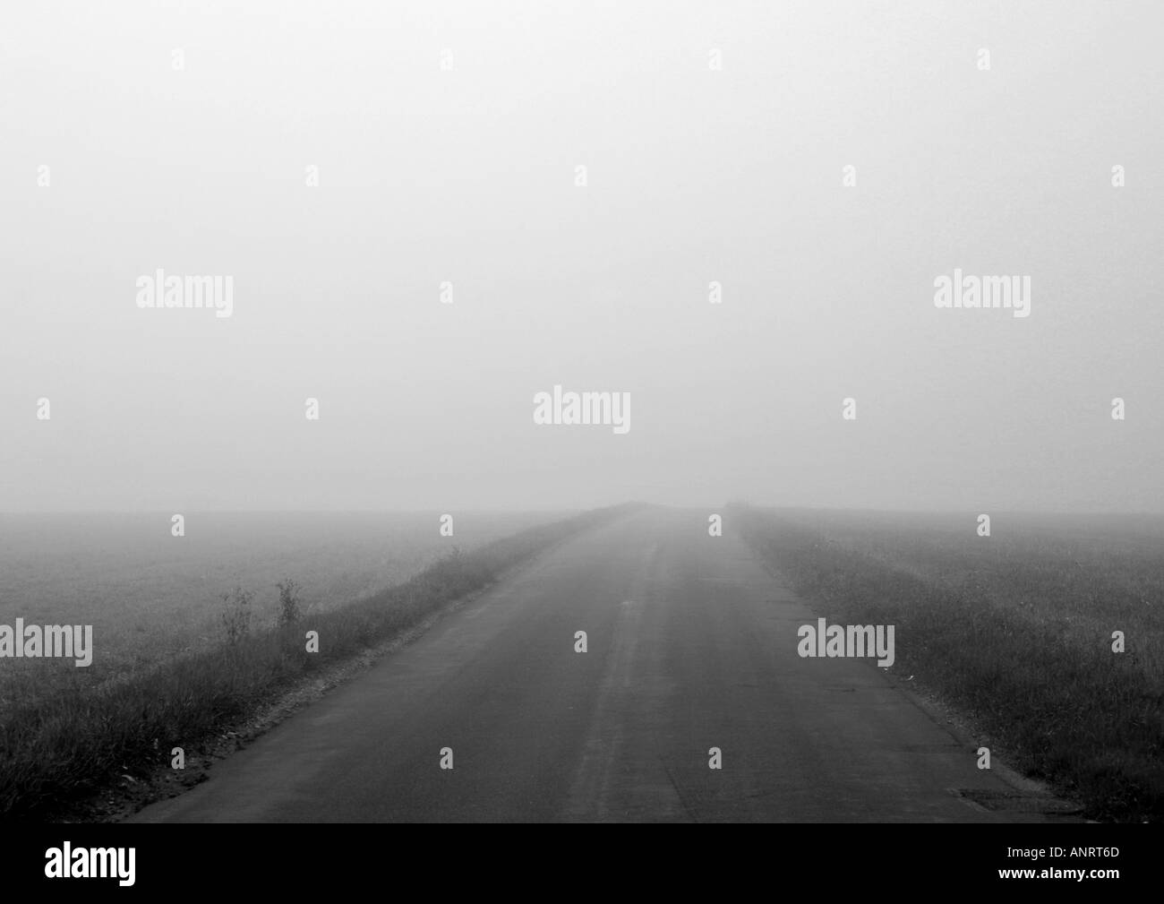 The damp Black and White Stock Photos & Images - Alamy