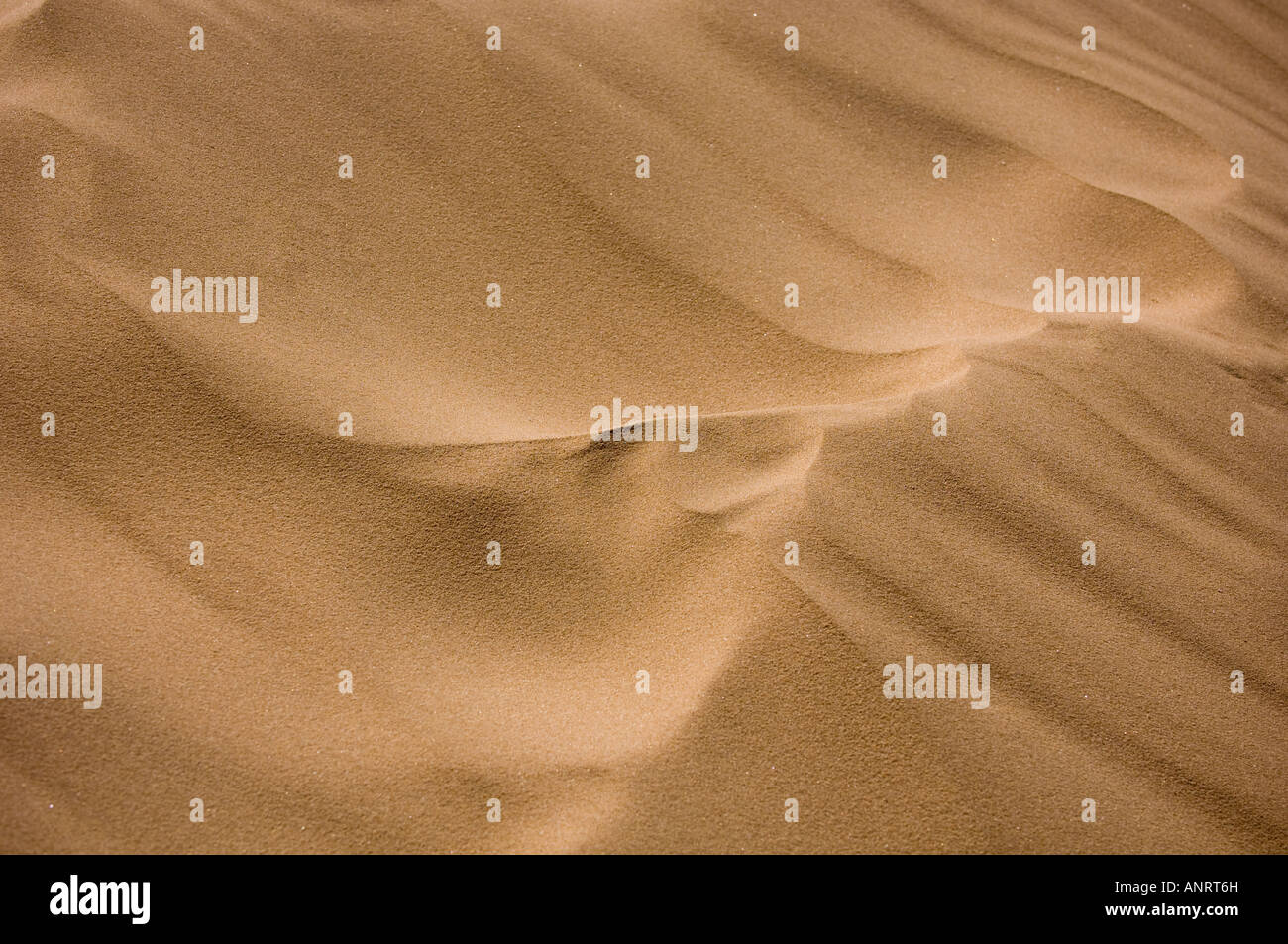 Wind blowing soft sand into dunes Stock Photo - Alamy