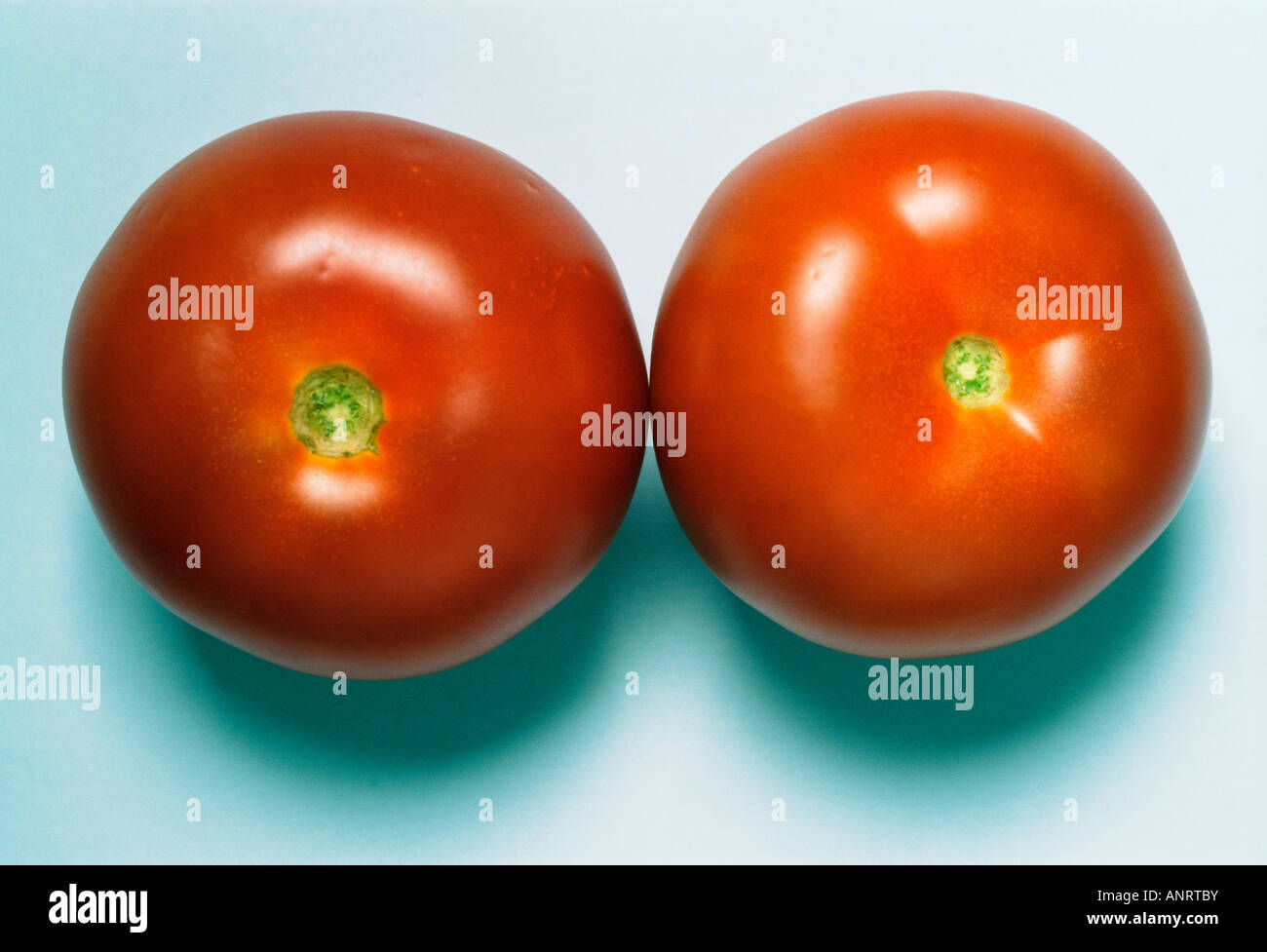 Two red tomatoes on plain background, close-up Stock Photo - Alamy