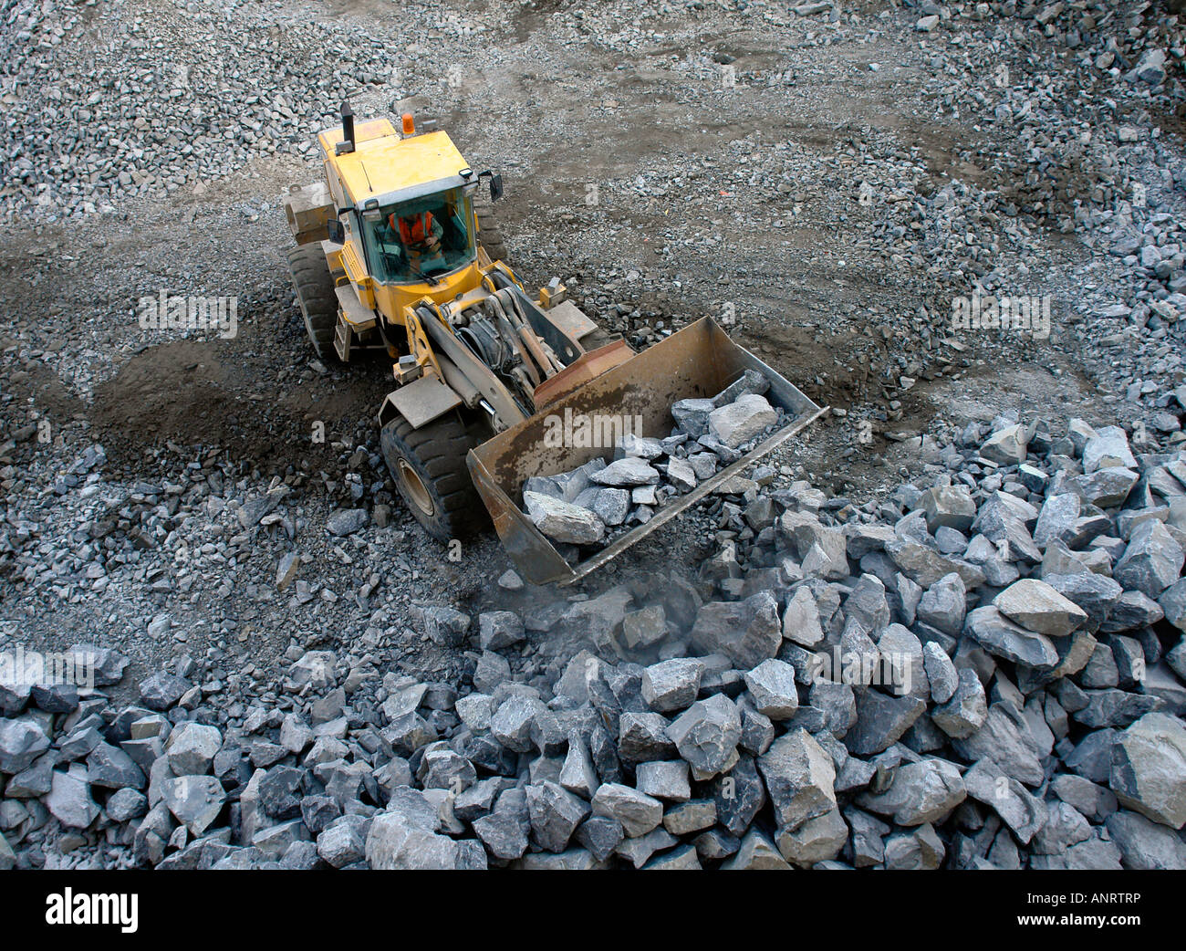 Wheel loader at work Stock Photo - Alamy