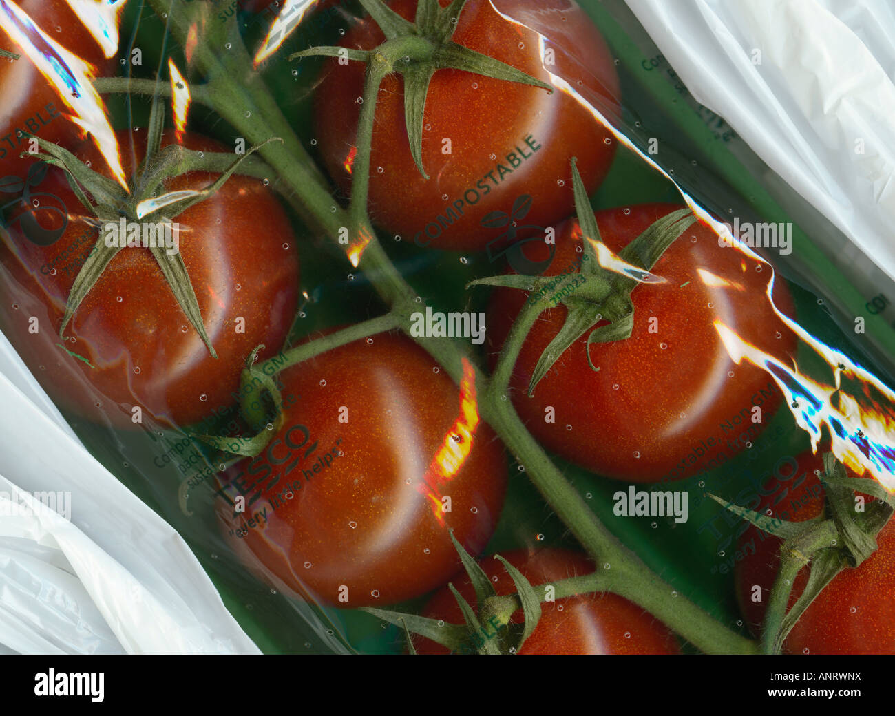 Pack of red tomatoes in supermarket, close-up Stock Photo - Alamy