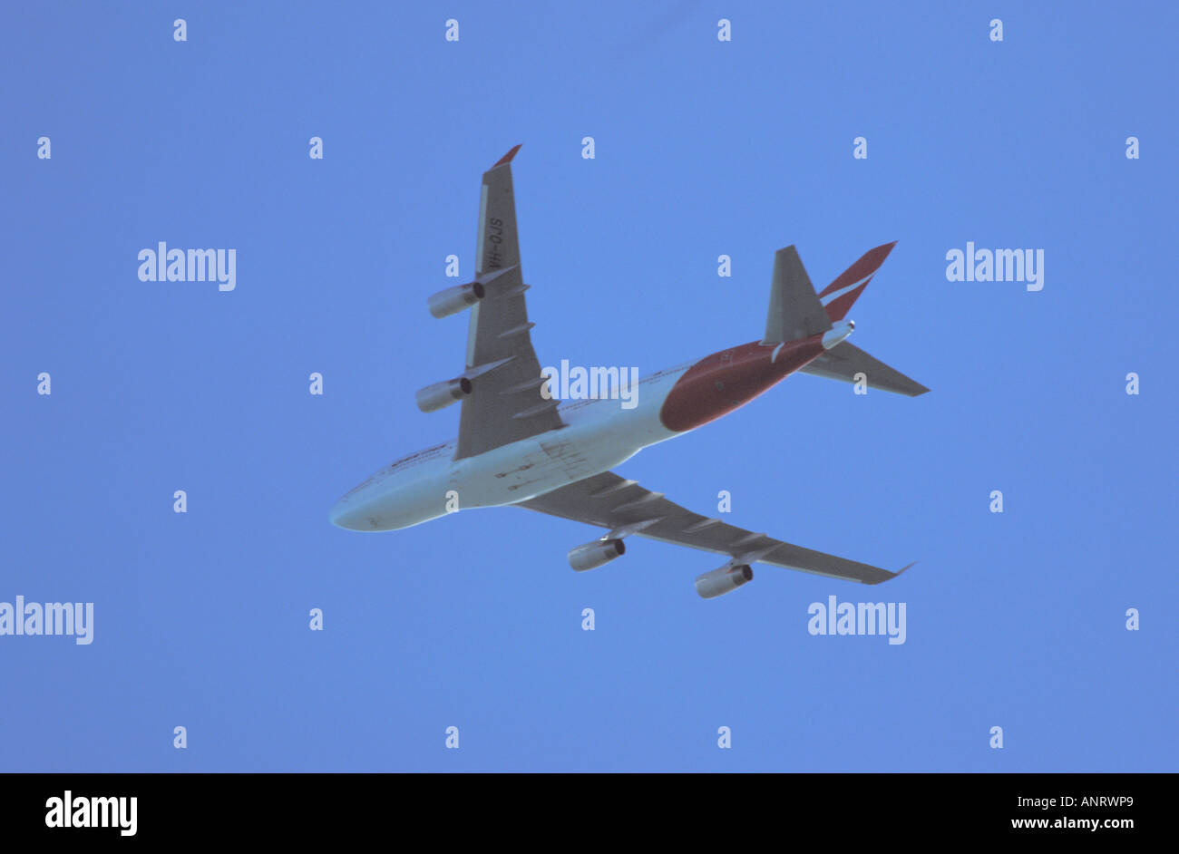 Sheep Farm New Zealand Waiheke Island Boeing 747 700 Stock Photo - Alamy