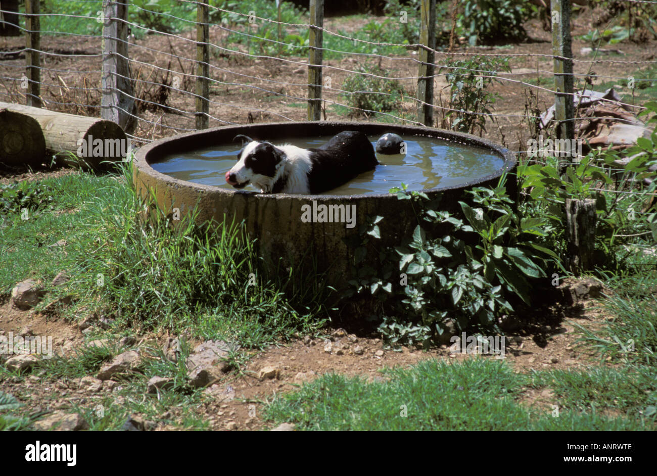 Cooling Trough High Resolution Stock Photography and Images - Alamy