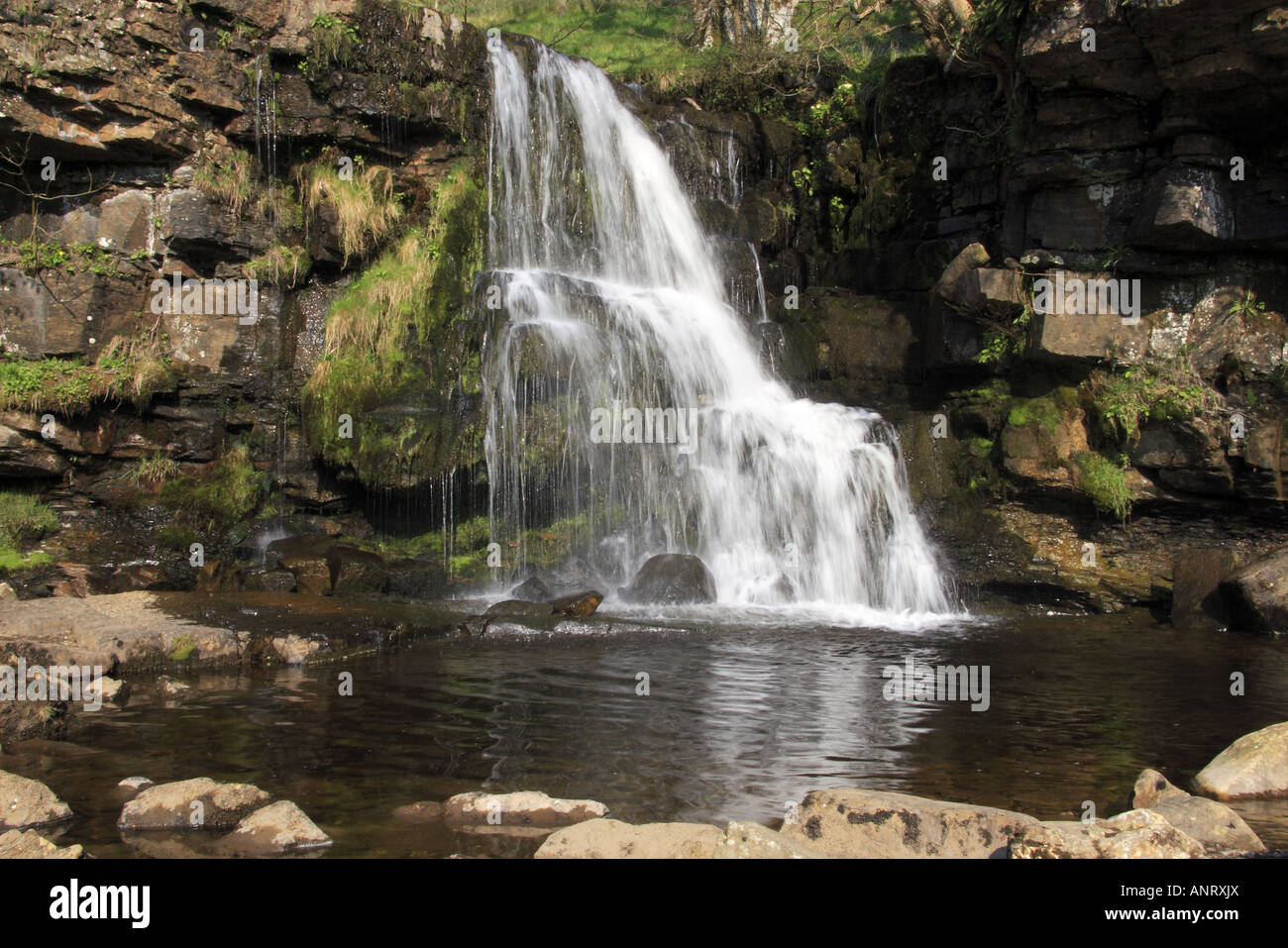 East Gill Force Waterfall which runs into river Swale at Keld Swaledale ...