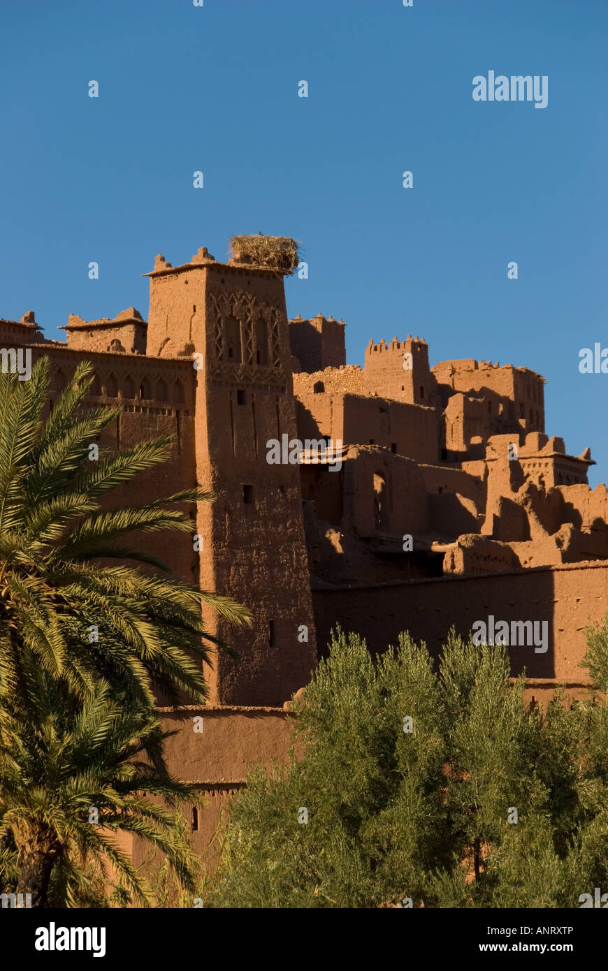 Desert Fort in Morocco Stock Photo - Alamy