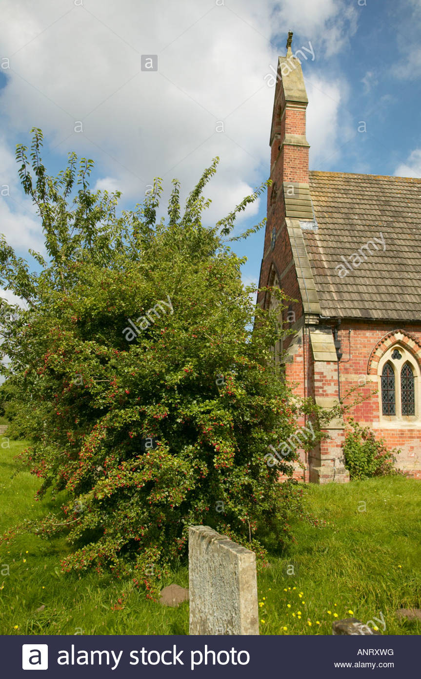Hoveringham Village High Resolution Stock Photography and Images - Alamy
