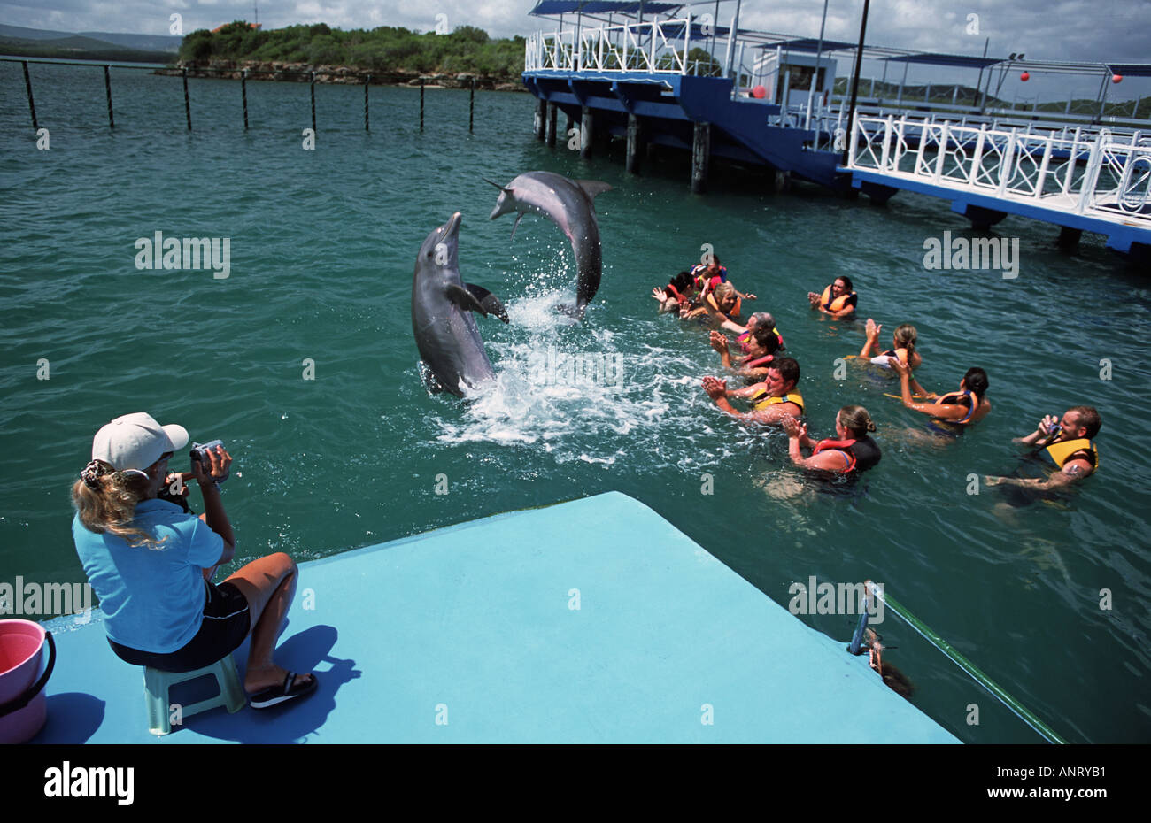 Group swimming with dolphins being filmed by trainer Near Guadarlavaca ...