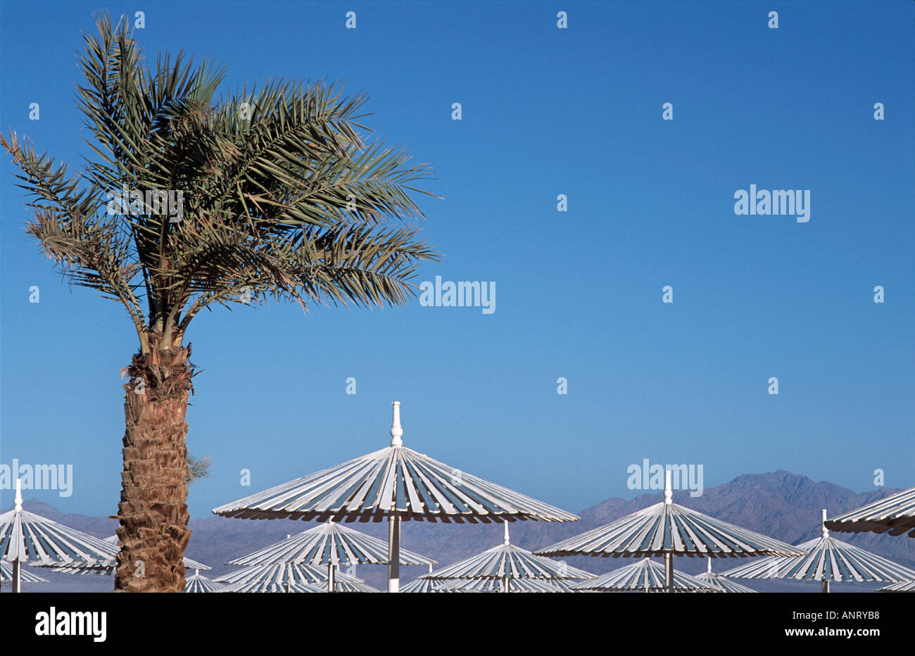 Red Sea coast at Nuweiba Sinai Egypt Arabian Mountains across the ...