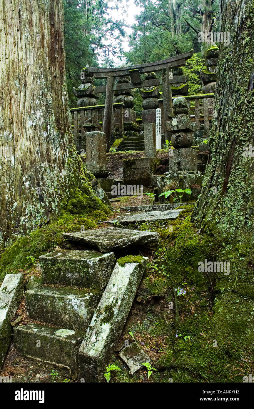 Crumbling mossy steps and a torii gate at Okunoin temple on Koyasan ...