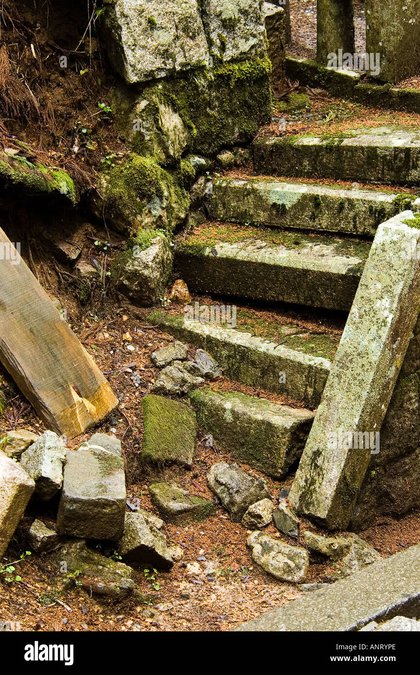 Crumbling mossy steps at Okunoin temple on Koyasan Japan Stock Photo ...