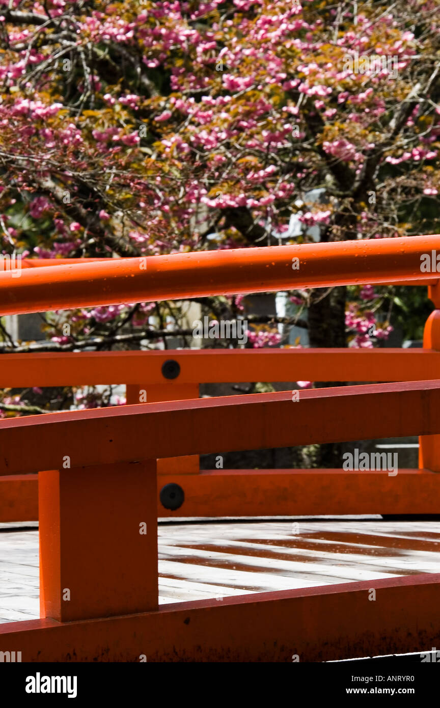 A traditional red Japanese bridge with cherry blossoms at Okunoin ...