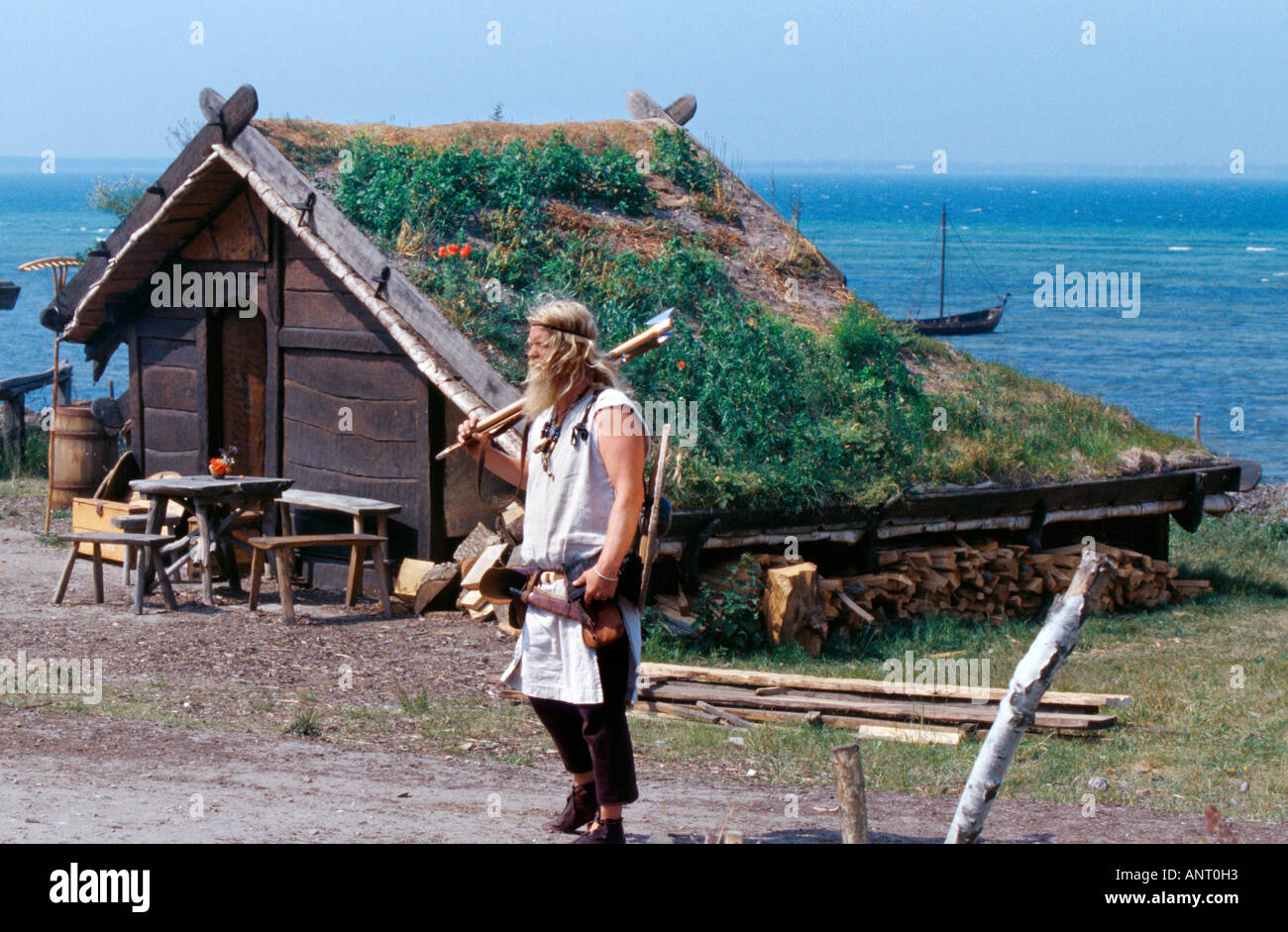 Viking house hi-res stock photography and images - Alamy