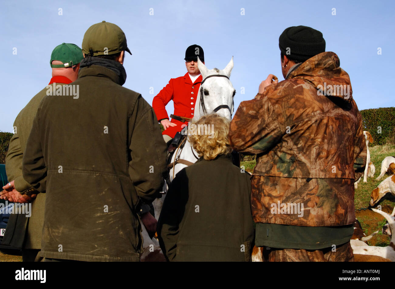 hunting with dogs fox hunting with hounds and horses outlawed banned ...