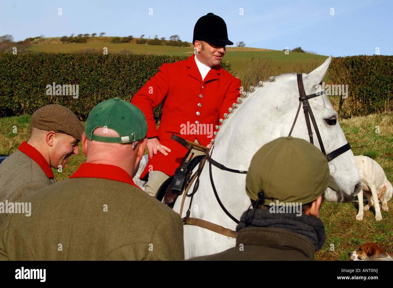 hunting with dogs fox hunting with hounds and horses outlawed banned ...