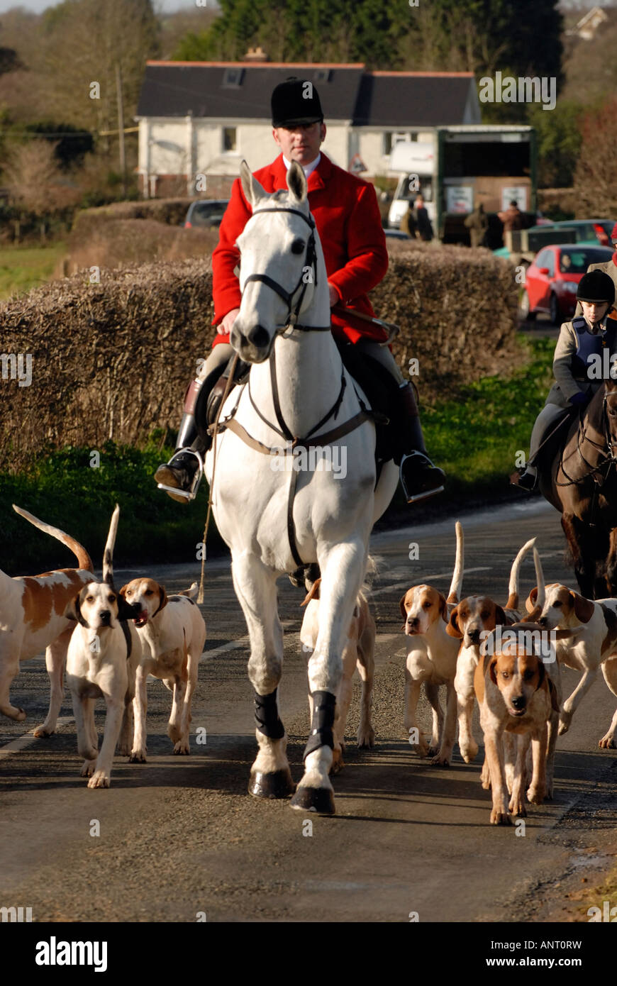 Hounds chasing foxes hi-res stock photography and images - Alamy