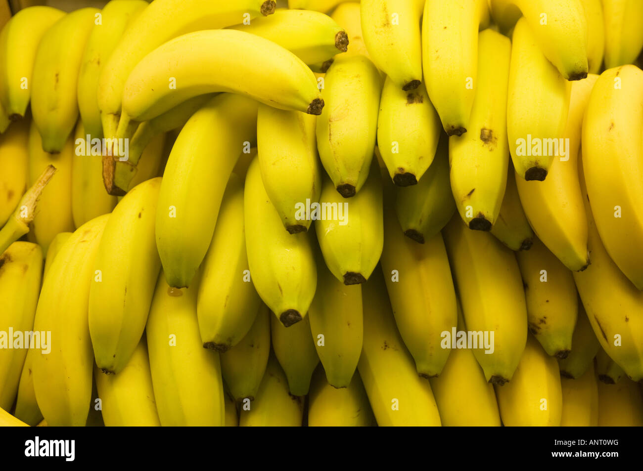 ripe yellow bananas Stock Photo - Alamy