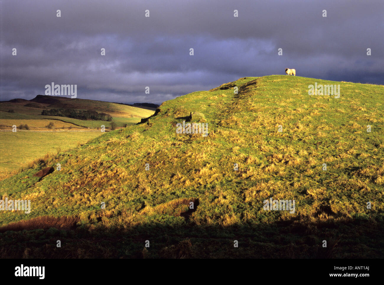 Hadrians wall great whin sill hi-res stock photography and images - Alamy