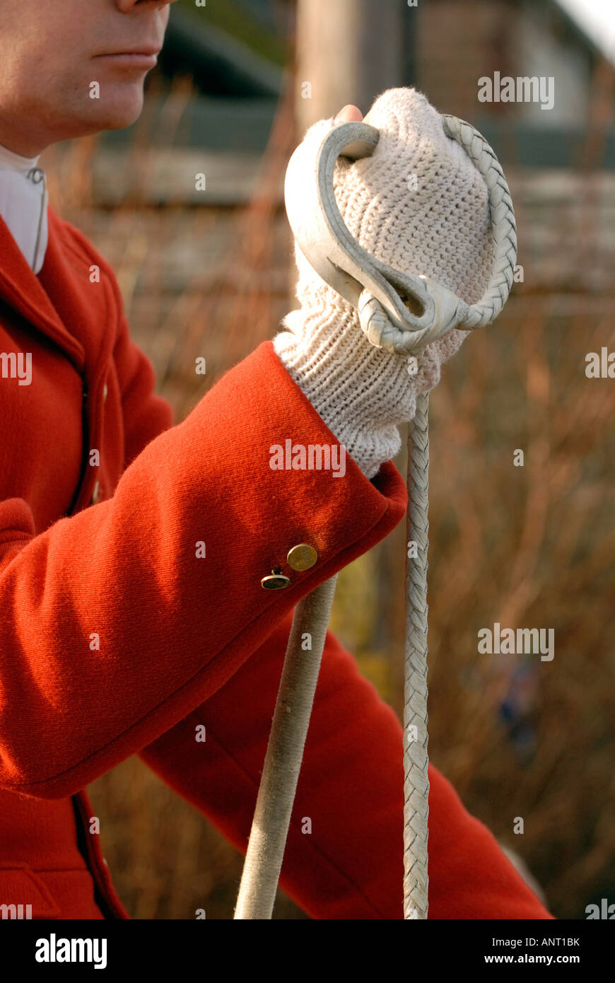 hunting with dogs fox hunting with hounds and horses outlawed banned ...