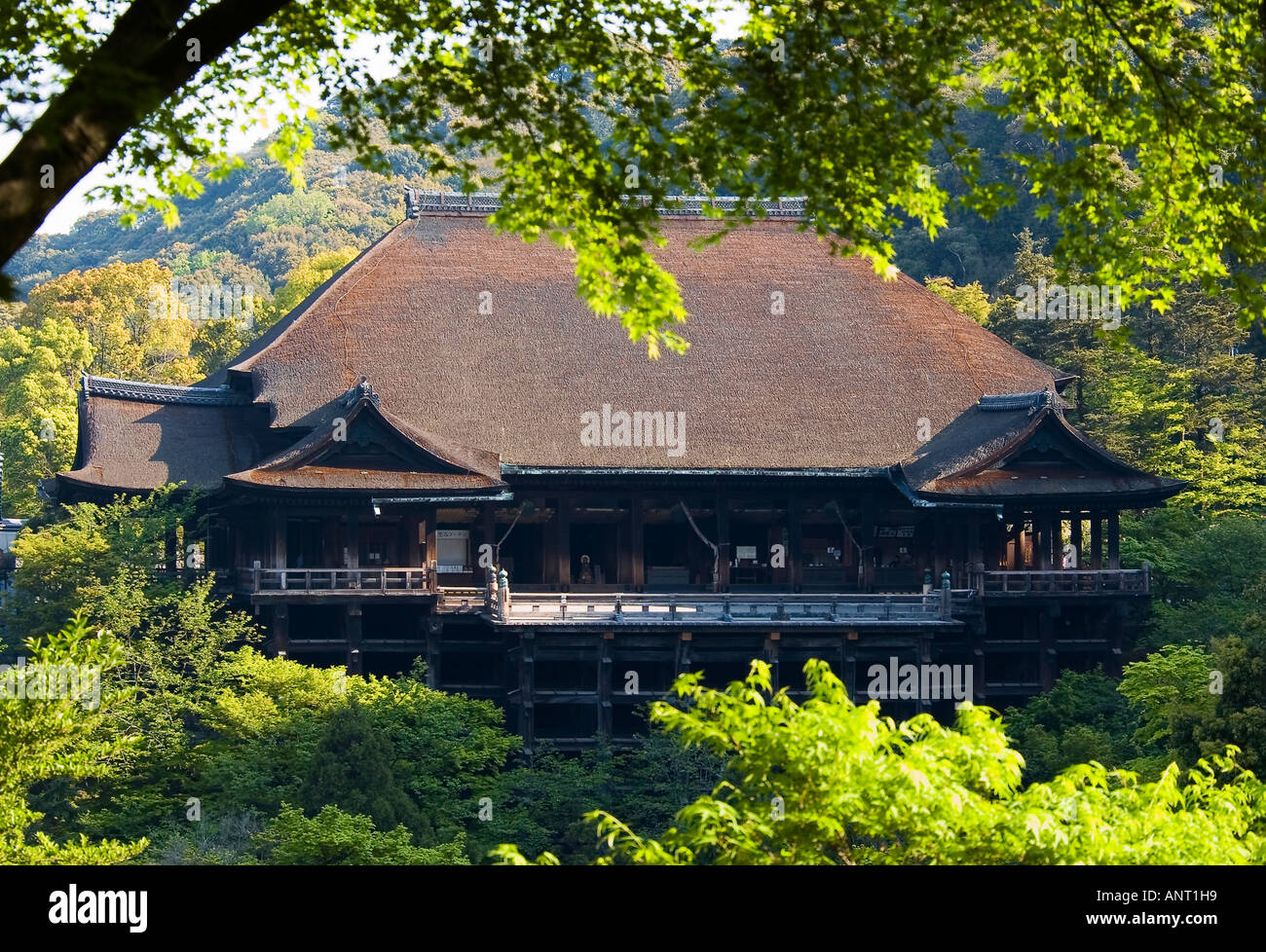 Balcony of kiyomizu temple hi-res stock photography and images - Alamy