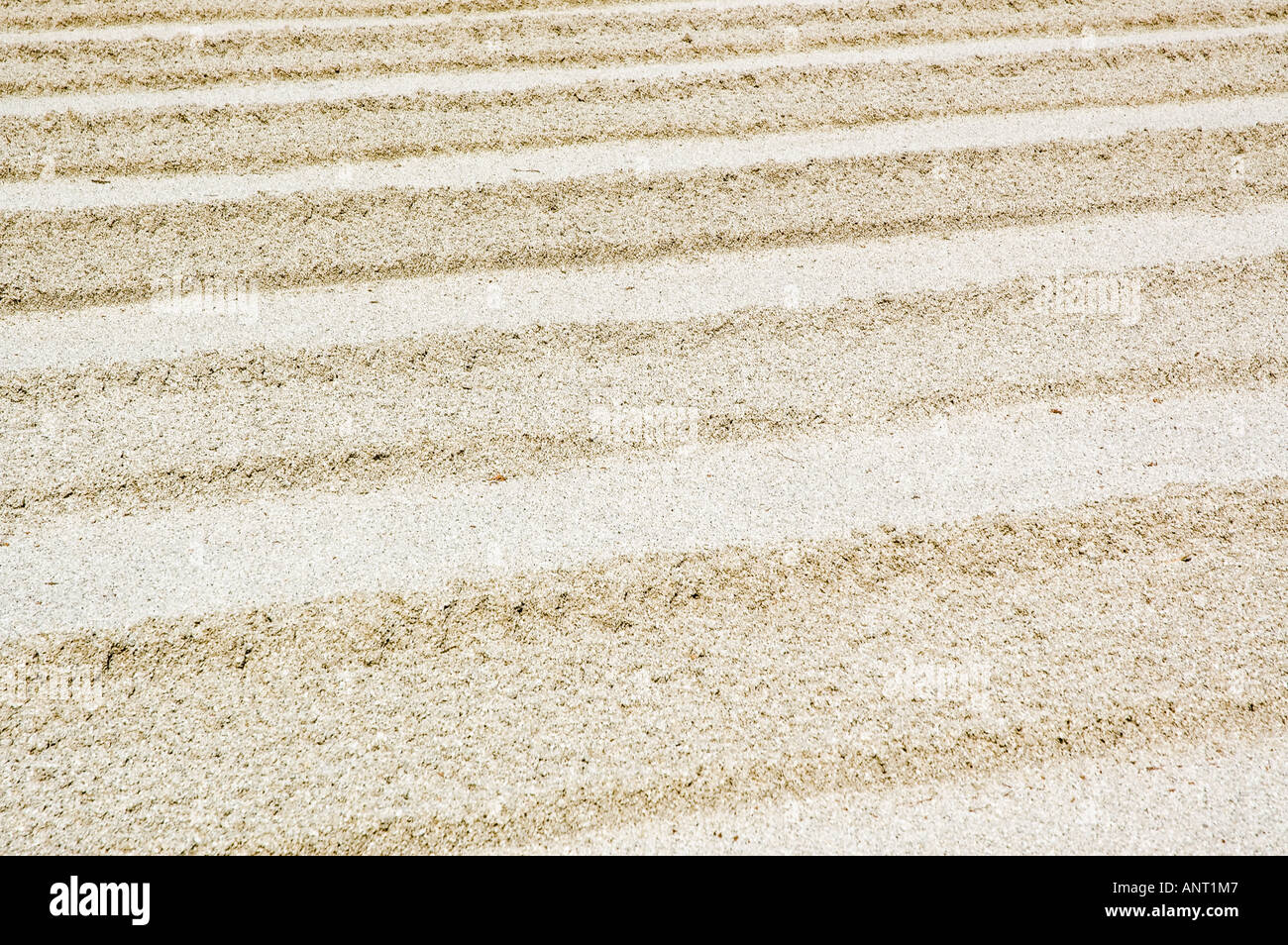 Stock photo of the rows of raked sand in the zen garden of Ginkakuji ...
