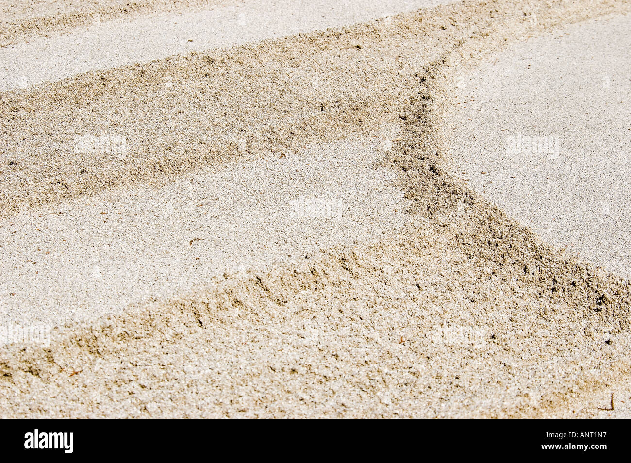 Stock photo of the rows of raked sand in the zen garden of Ginkakuji ...