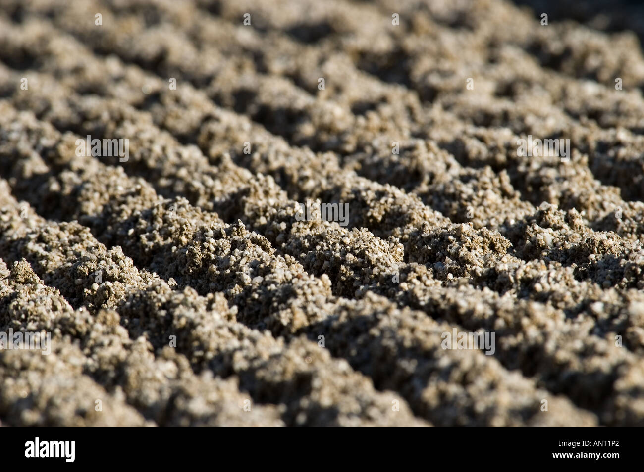 Unesco world heritage site raked sand hi-res stock photography and ...