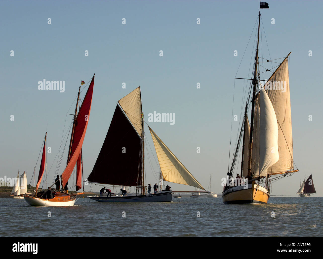Traditional Gaff Rigged Sailing Boats Including the Black Rose Stock ...