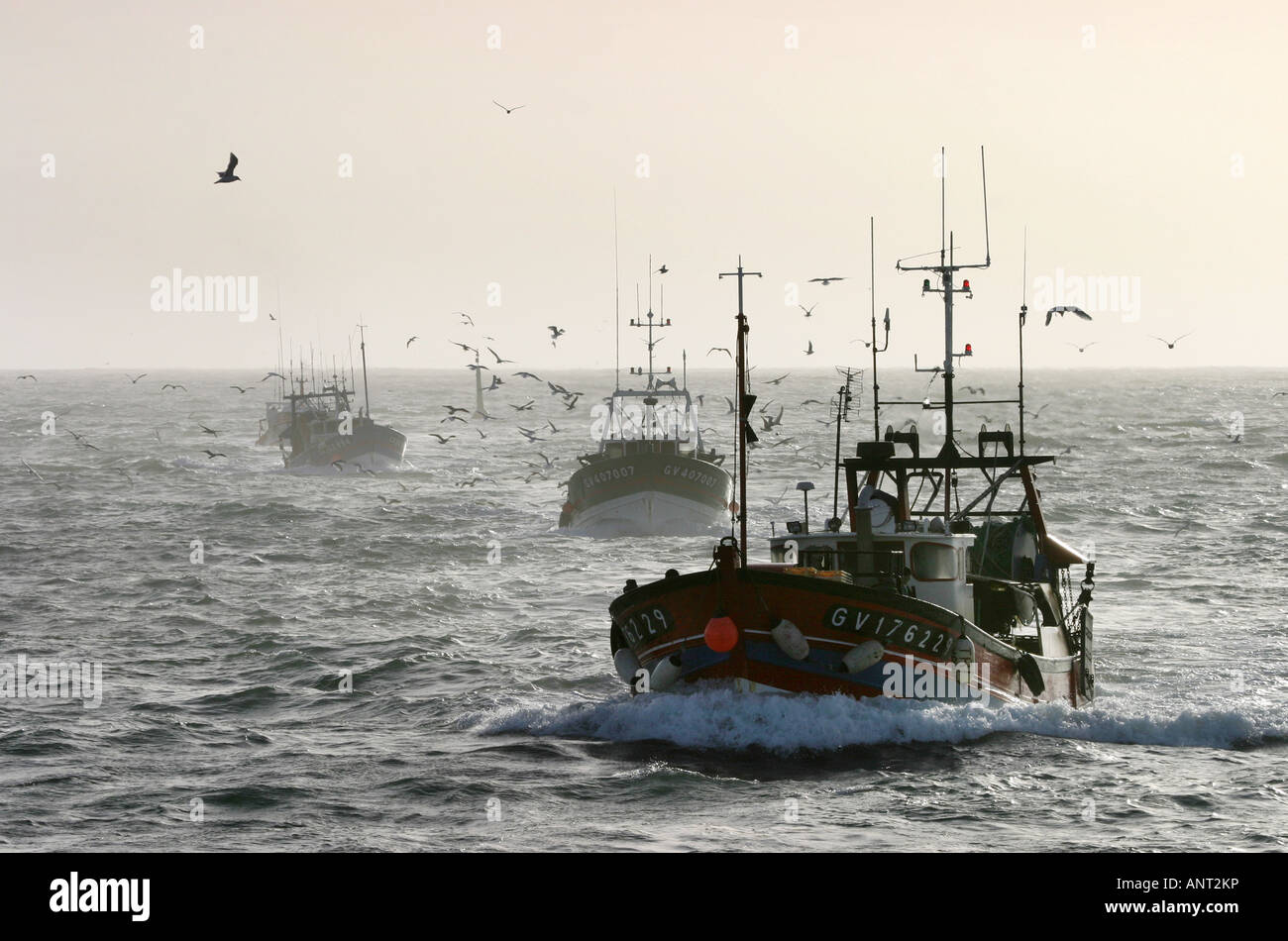 French fishermen in four fishing boats returning to harbour after a ...