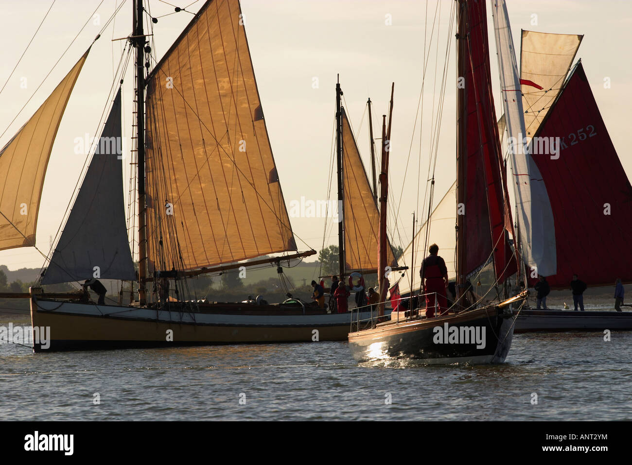 Traditional Gaff Rigged Sailing Boats Including the Black Rose Stock ...
