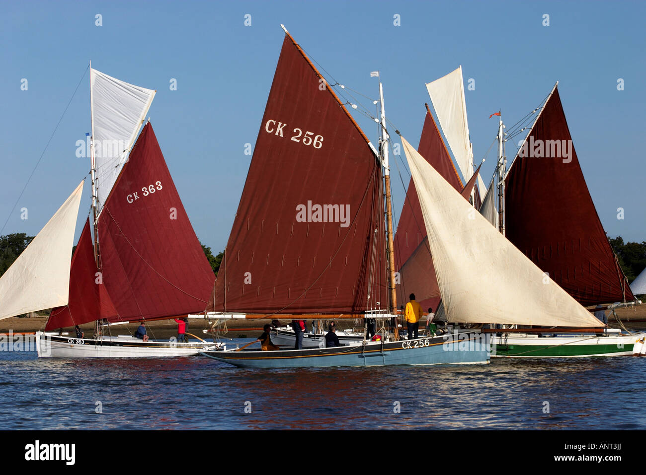 Traditional Gaff Rigged Sailing Boats Stock Photo - Alamy