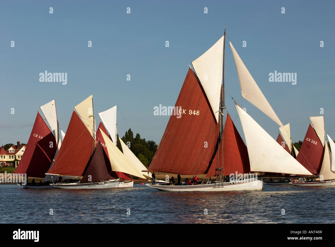Traditional Gaff Rigged Sailing Boats at the Start of the race Stock ...