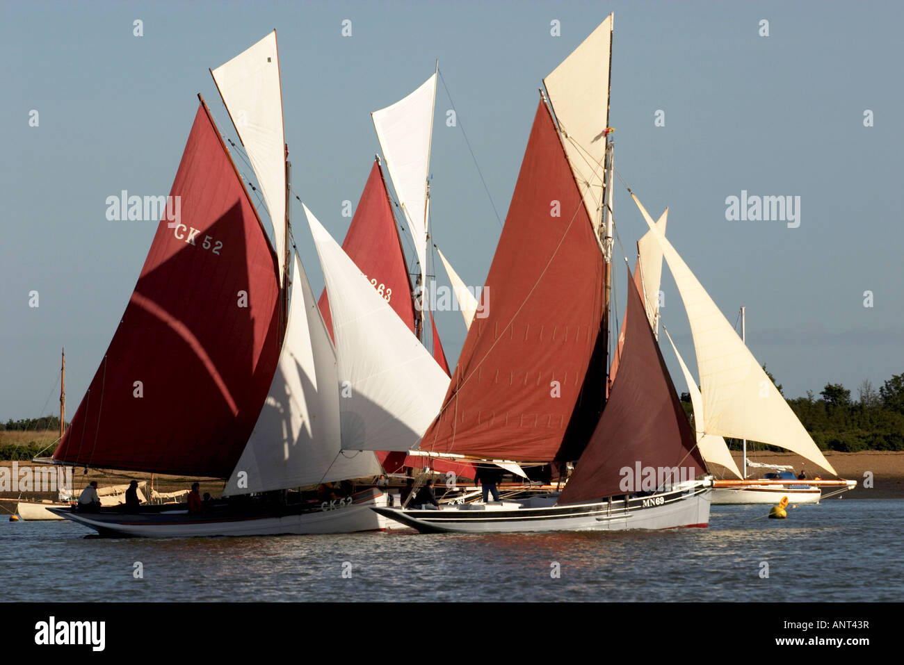 Traditional Gaff Rigged Sailing Boats Stock Photo - Alamy