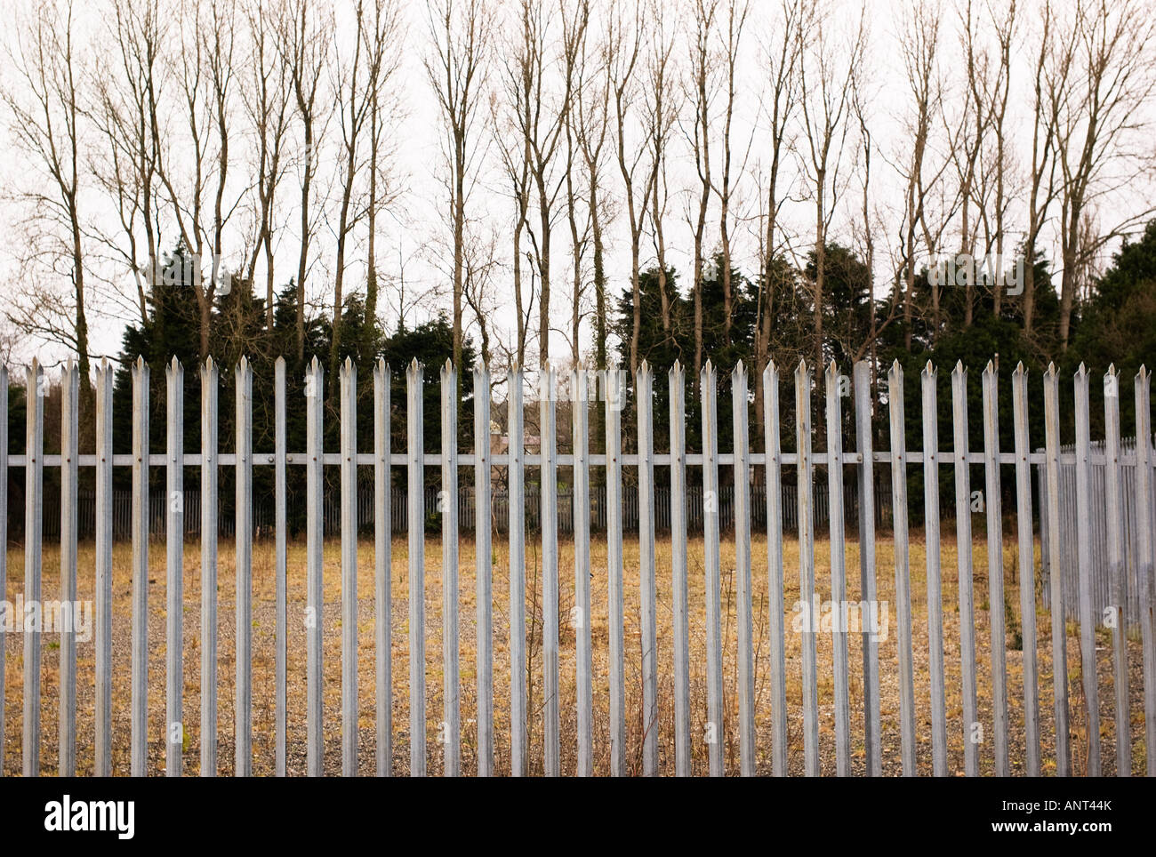 Grey metal security fence with pointed tips echoed by bare trees in the ...
