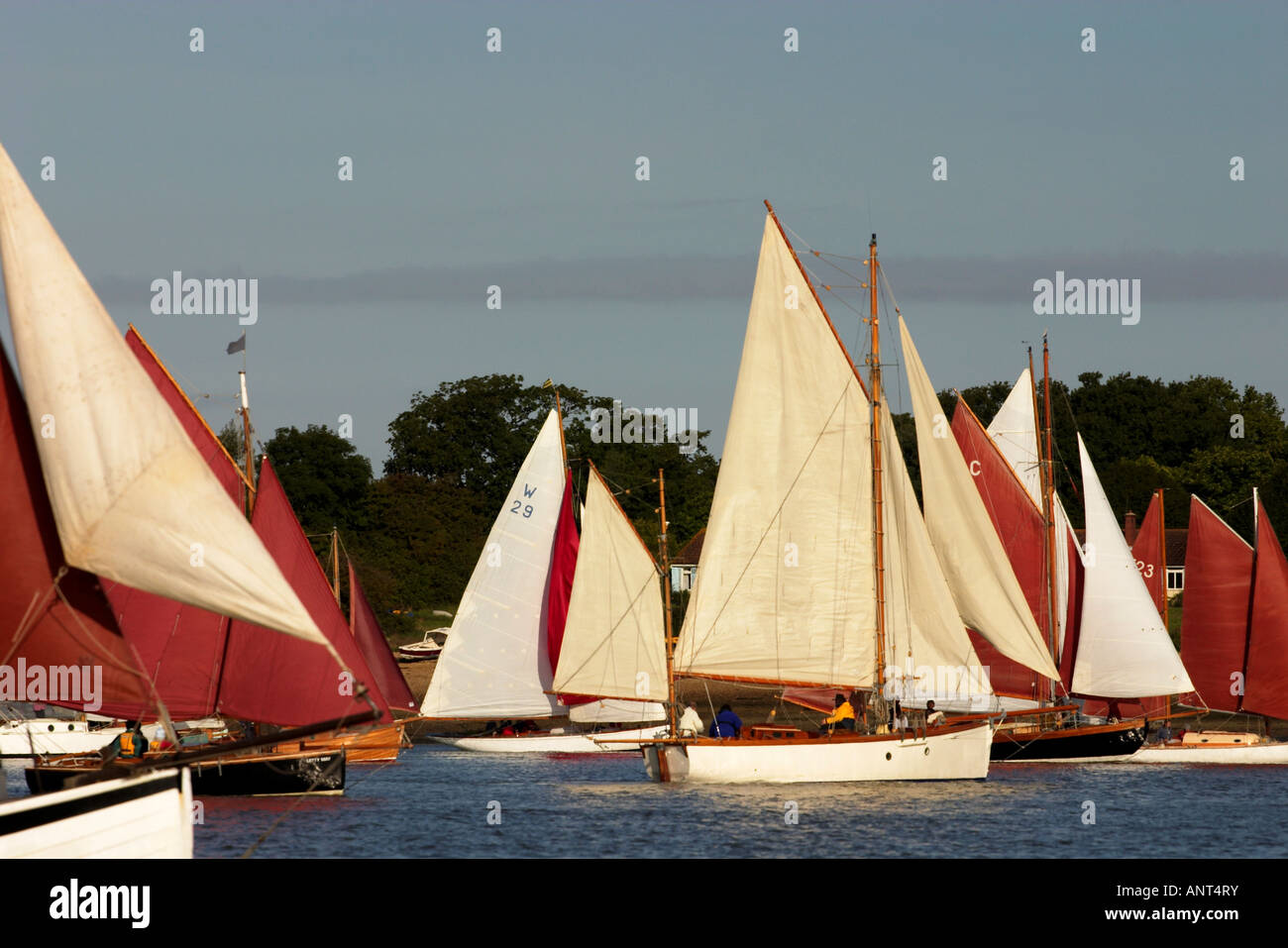 Traditional Gaff Rigged Sailing Boats Stock Photo - Alamy