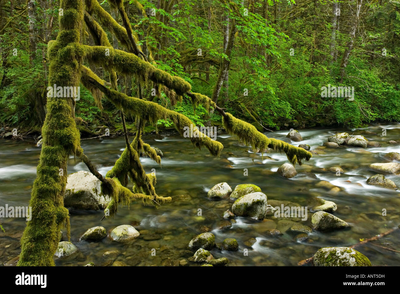 Wallace creek falls hi-res stock photography and images - Alamy