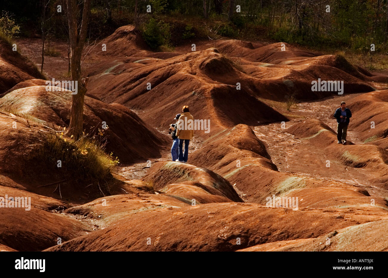People photographing the iron rich red clay of Cheltenham Badlands in ...