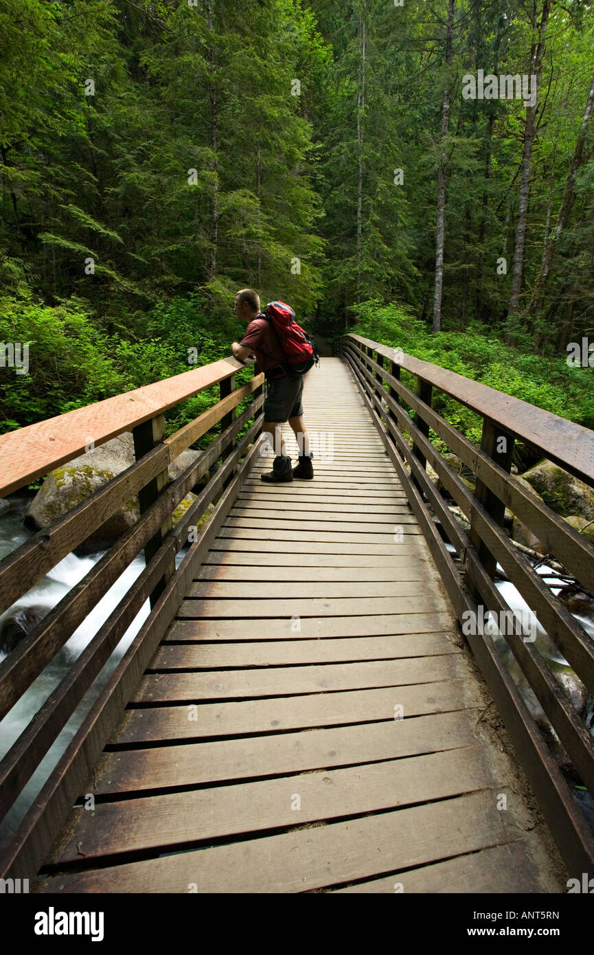 Hiker in spring rainforest Stock Photo - Alamy