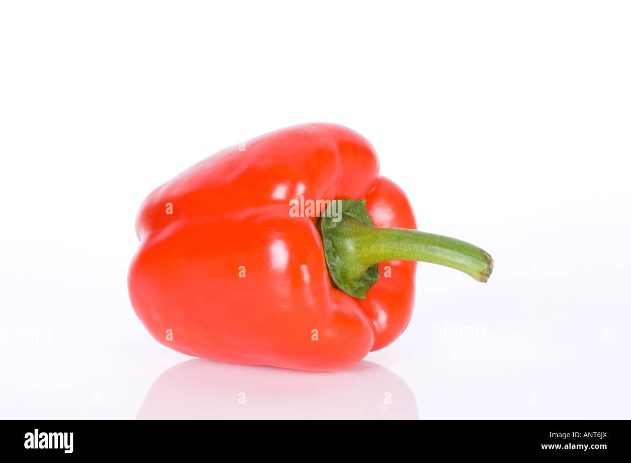Capsicum Annuum Cultivars High Resolution Stock Photography and Images ...