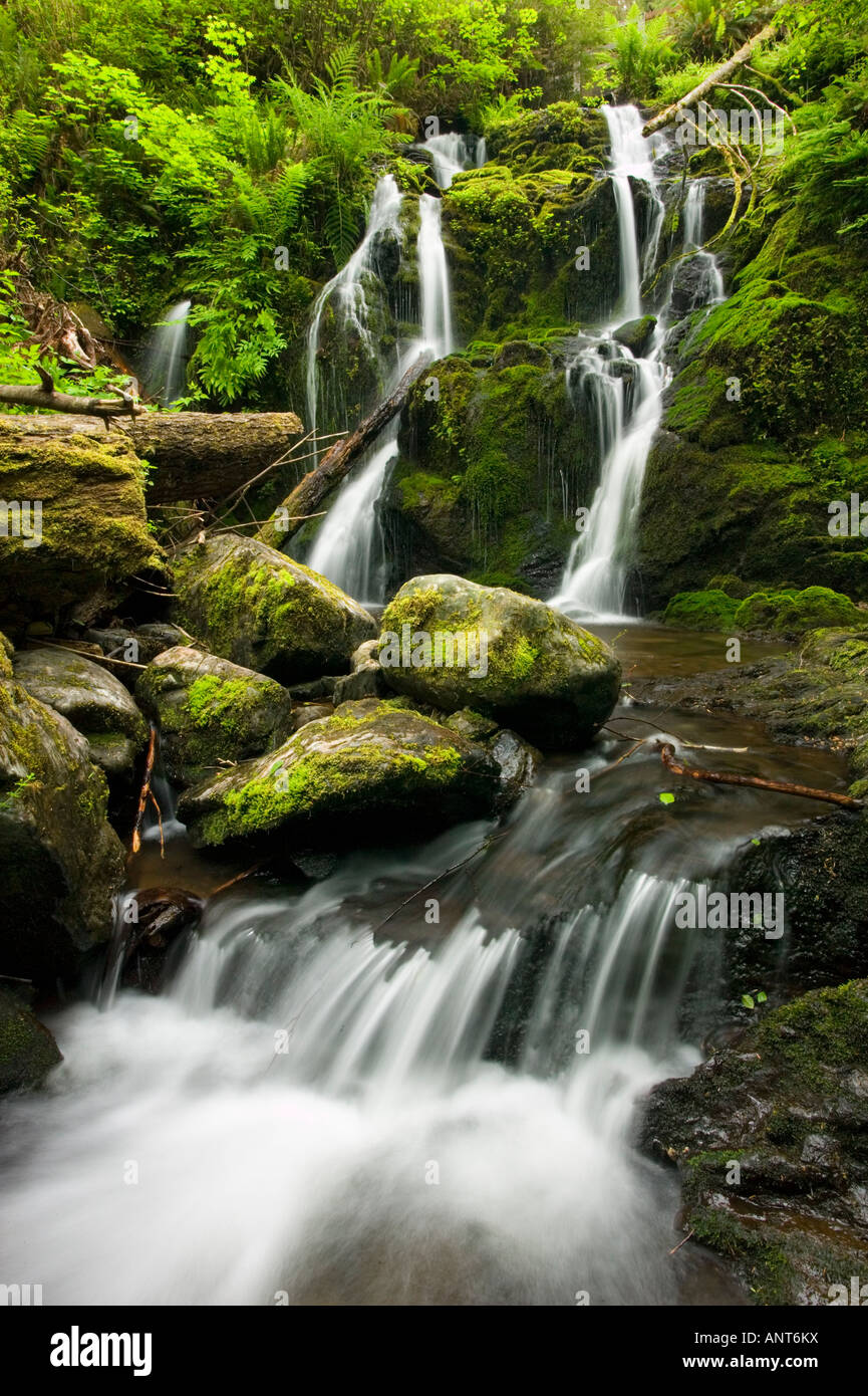 Spring waterfall and rainforest Stock Photo - Alamy