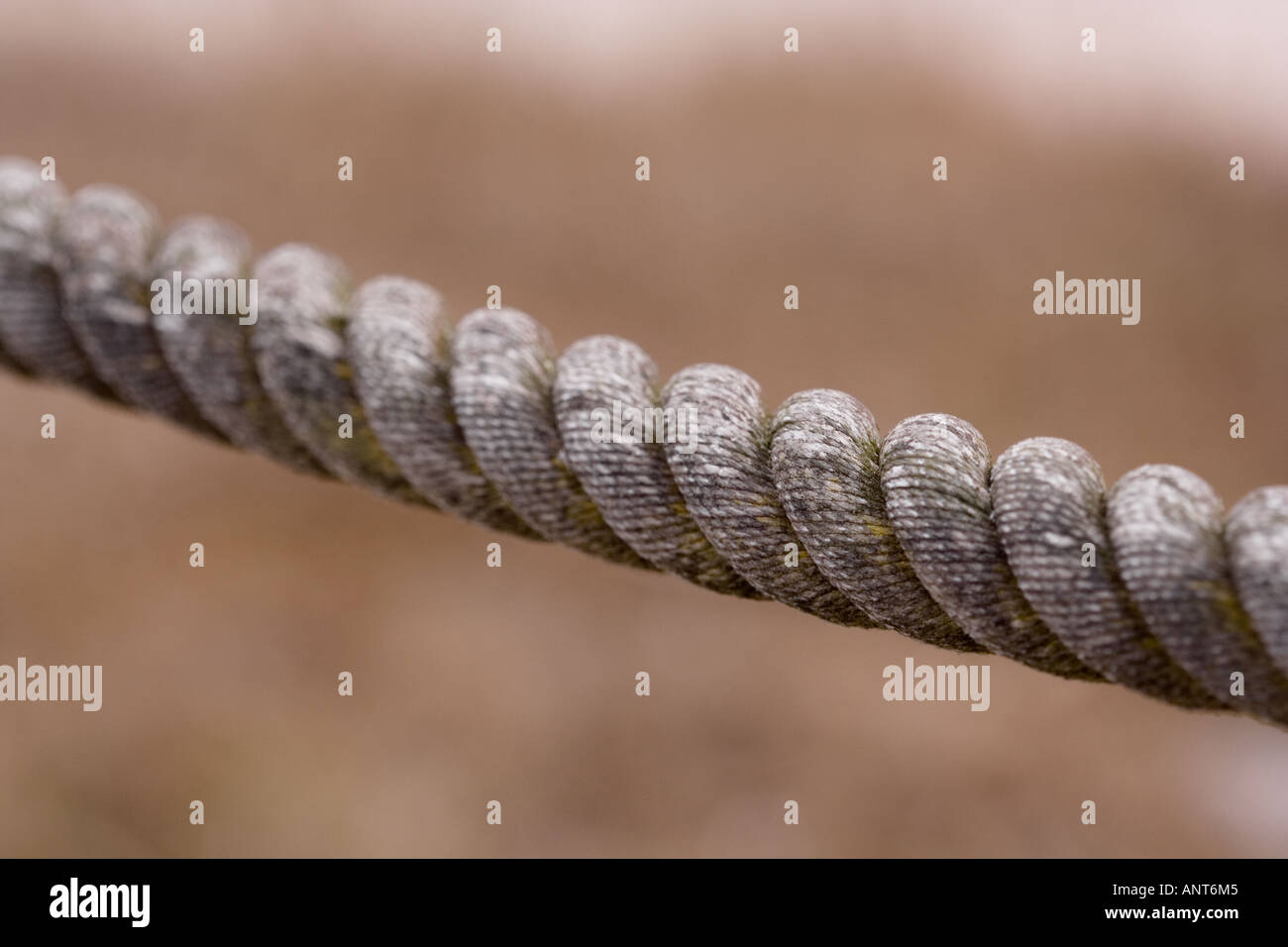 A close-up of a twist Stock Photo - Alamy