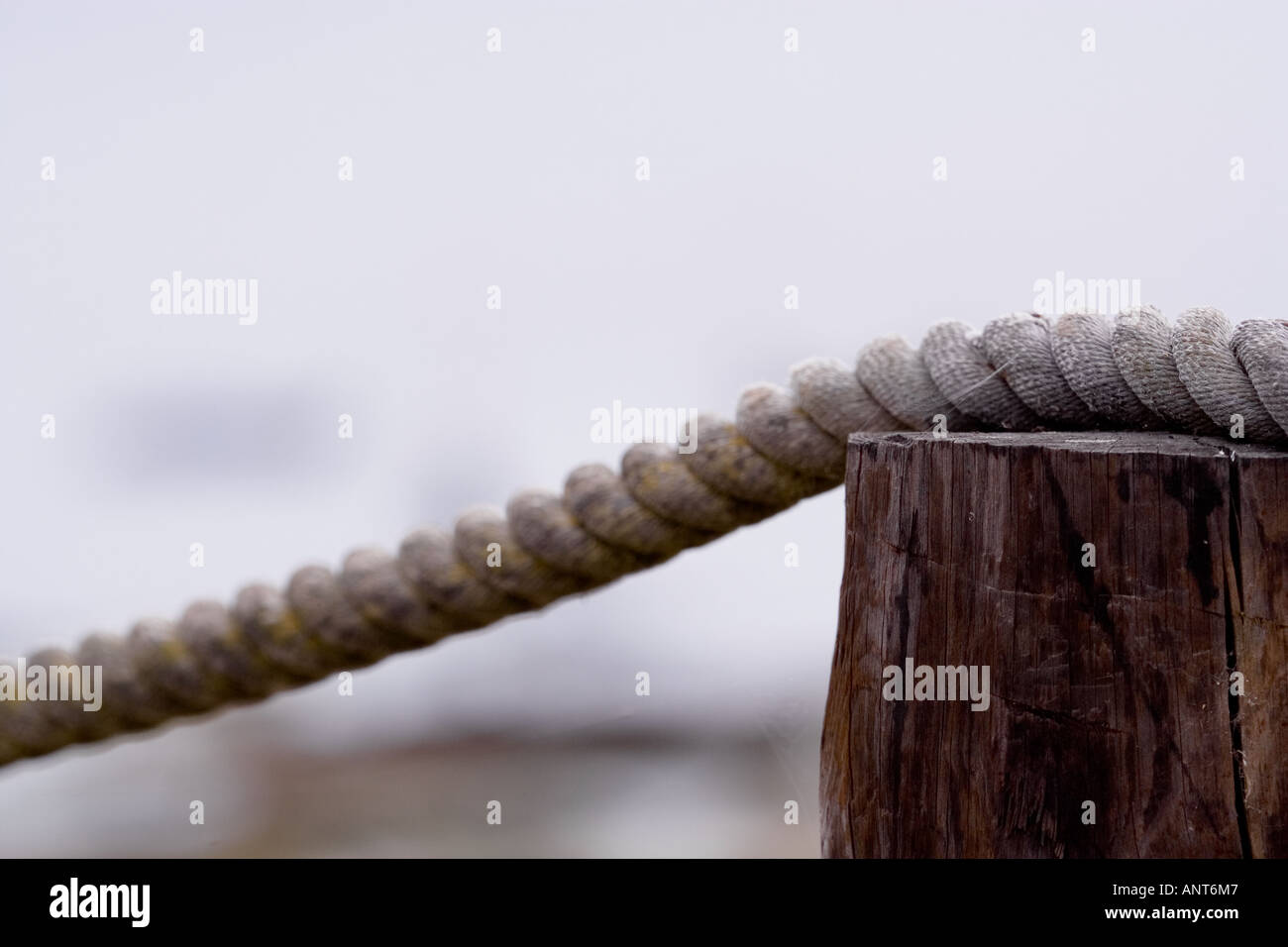 A close-up of an enclose Stock Photo - Alamy