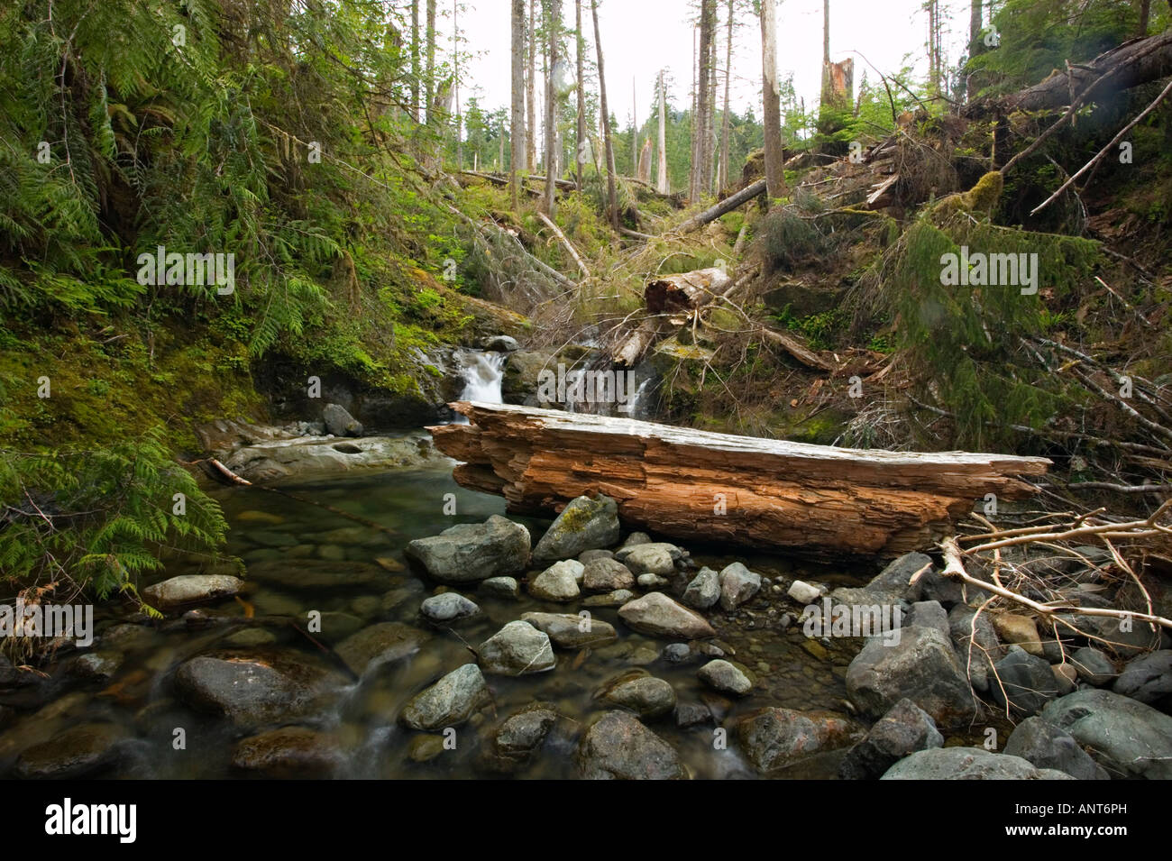 Strom damage hi-res stock photography and images - Alamy
