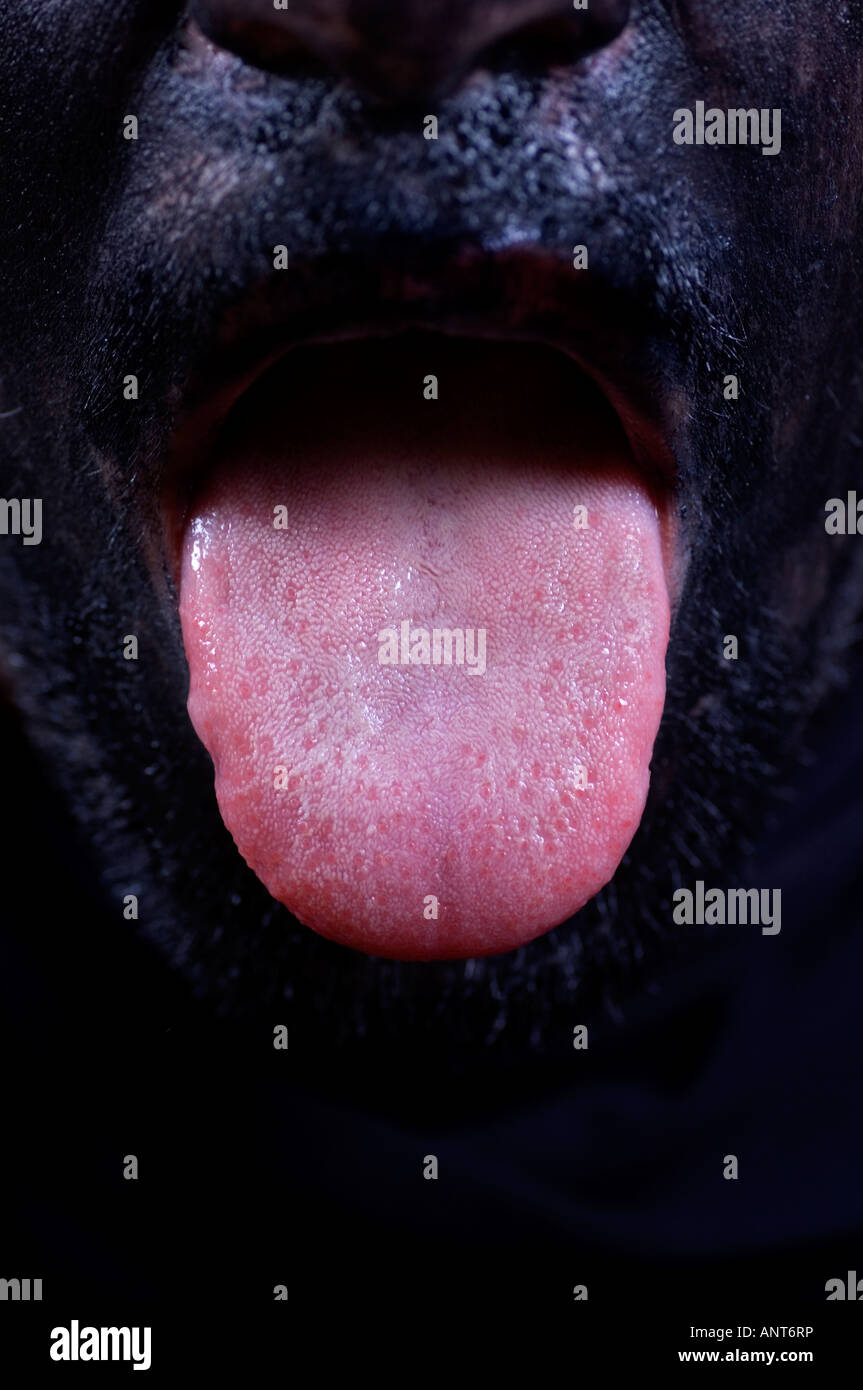 Taste buds human tongue hi-res stock photography and images - Alamy