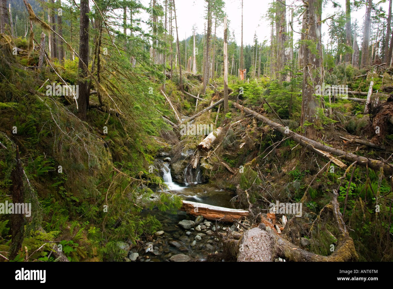 Strom damage hi-res stock photography and images - Alamy