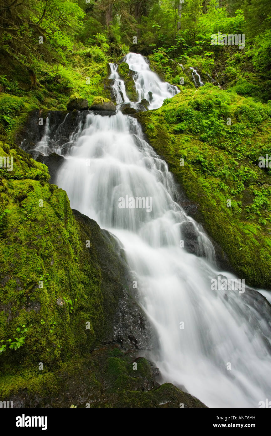 Spring waterfall in rainforest Stock Photo - Alamy