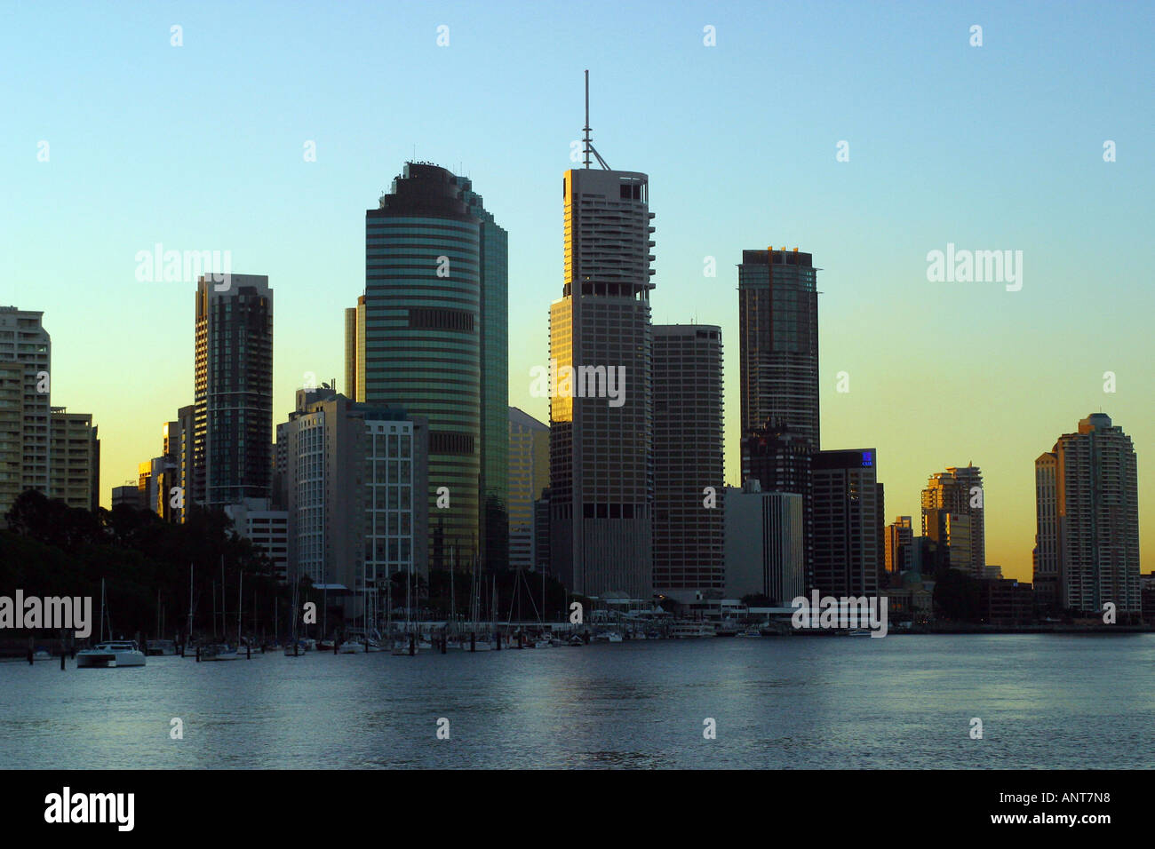 Australia brisbane jungle hi-res stock photography and images - Alamy