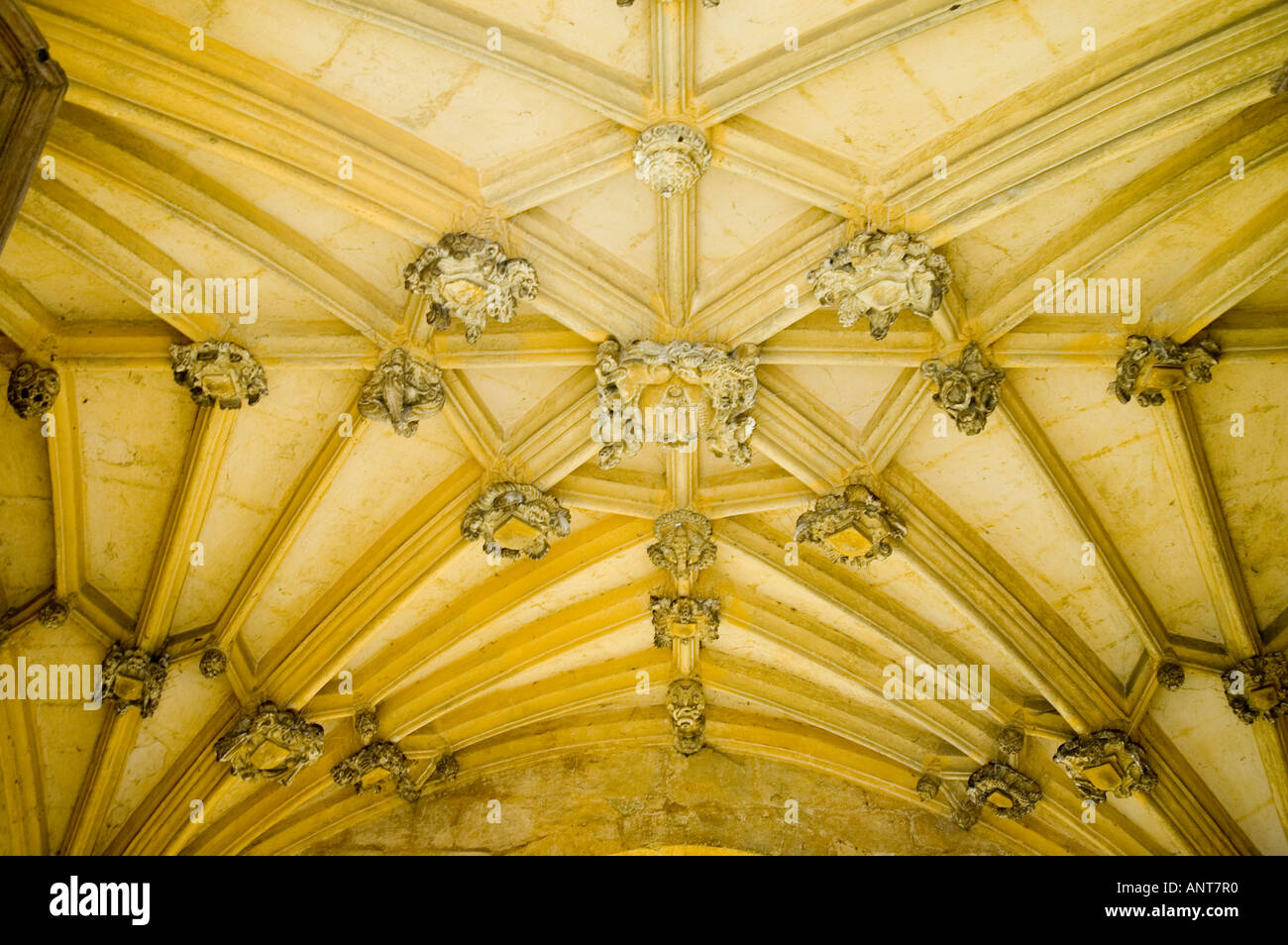 The Bodleian Library Stock Photo - Alamy