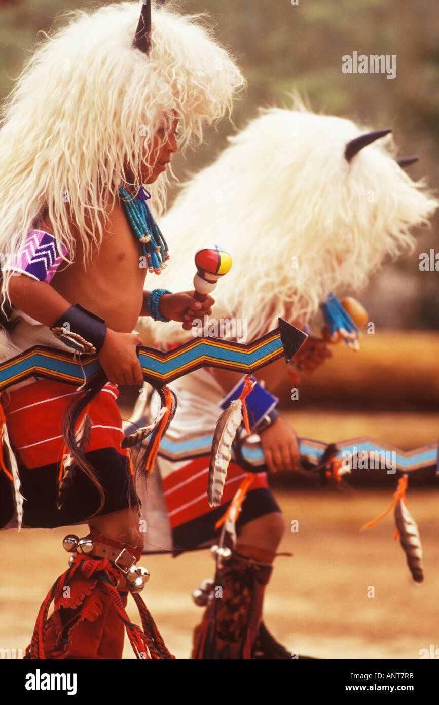 White Buffalo And Native American High Resolution Stock Photography and ...