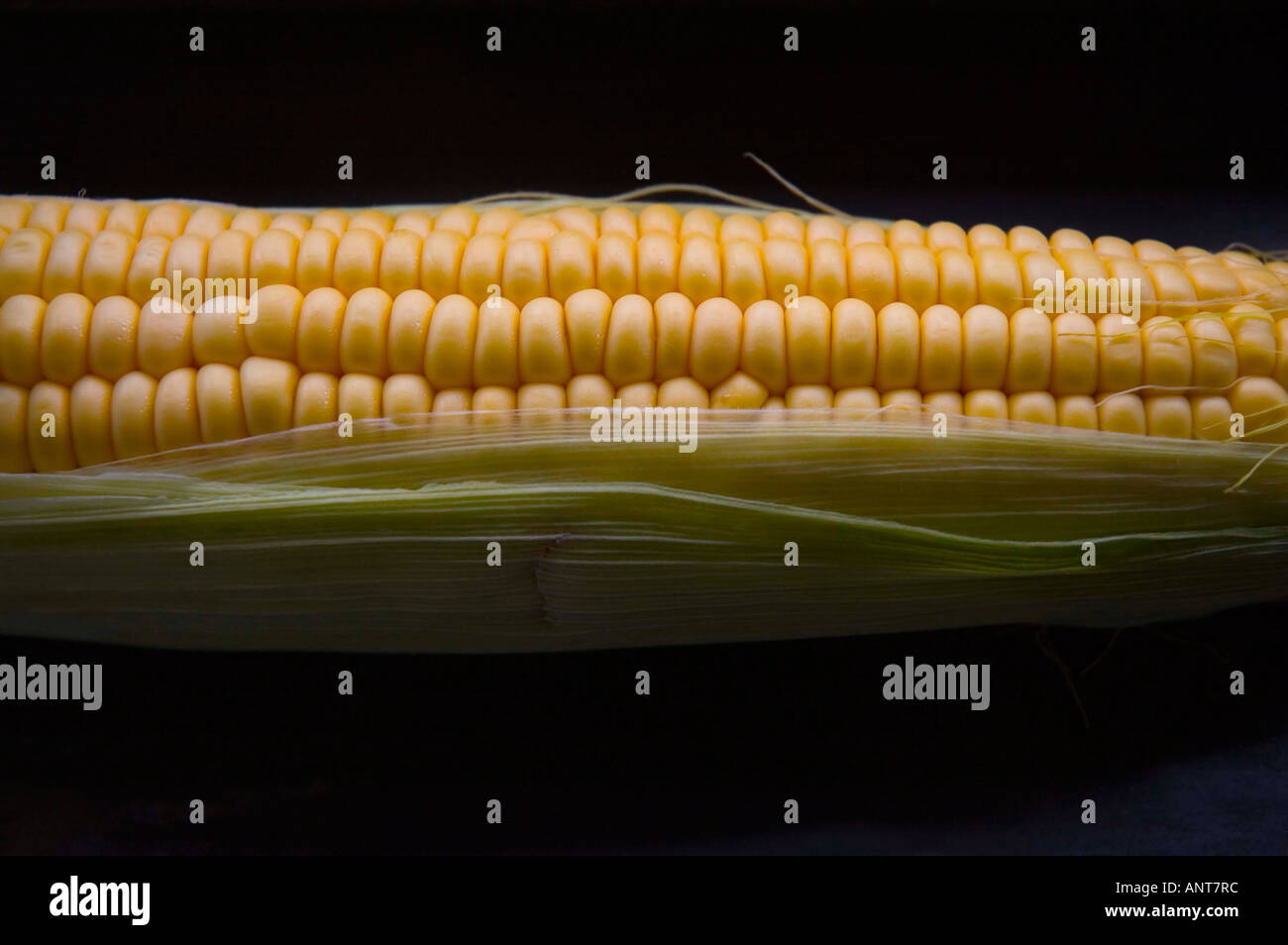 Corn shucks hi-res stock photography and images - Alamy