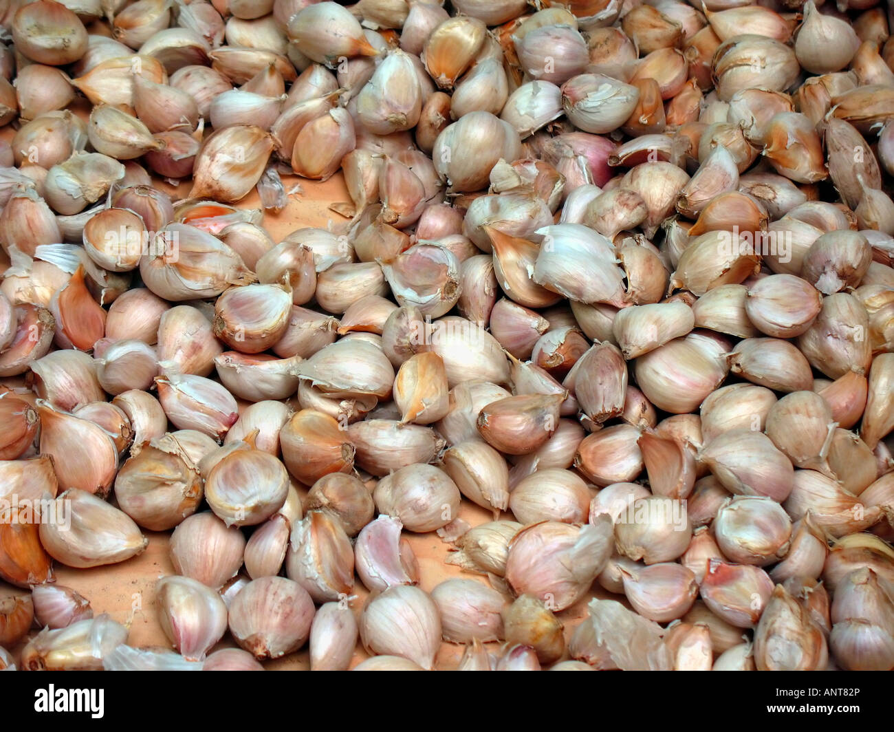Lots of Garlic Stock Photo - Alamy
